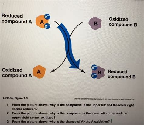 Solved Reduced Compound A A Oxidized B Compound B E Chegg Com