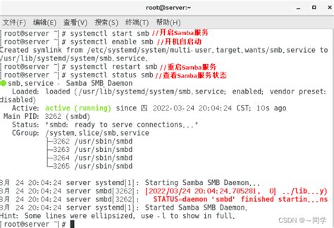 配置与管理samba服务器（详细教程） Csdn博客
