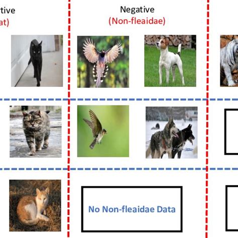 One Example Of Positive And Unlabeled Data With Augmented Classes The