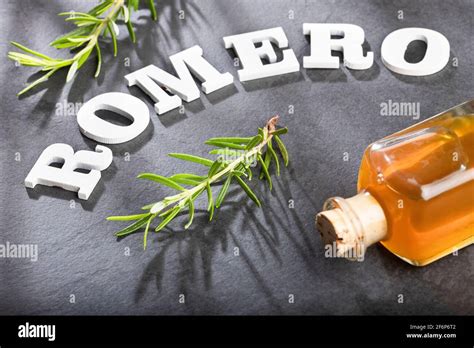 Rosmarinus officinalis - Rosemary leaves and oil Stock Photo - Alamy