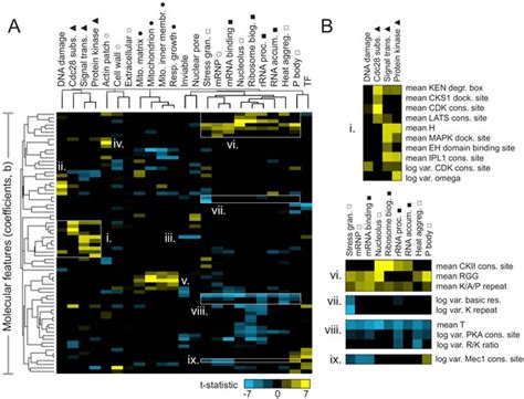 Identifying Molecular Features That Are Associated With Biological Function Of Intrinsically