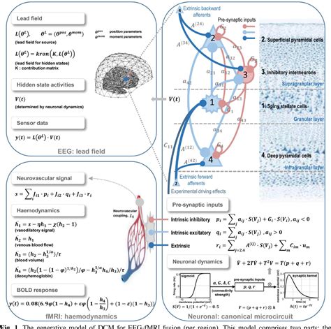 Figure 1 From Bayesian Fusion And Multimodal Dcm For Eeg And Fmri Semantic Scholar