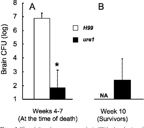 Figure 3 From Urease Expression By Cryptococcus Neoformans Promotes