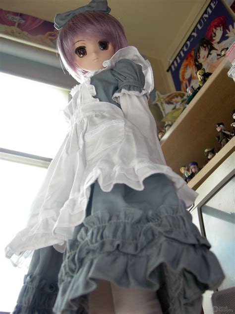 Evelyn In Wonderland Mo Idolatry