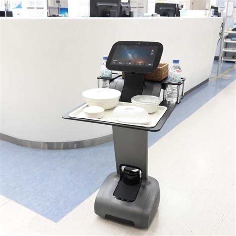 Book Smart Assistant Robots Scarlett Entertainment