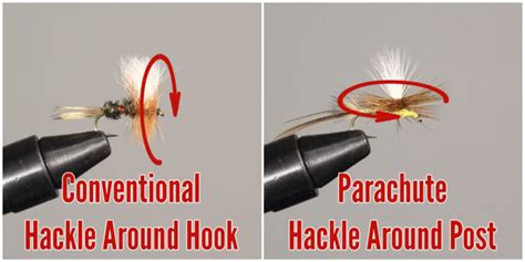 11 Best Caddisfly Patterns For The Fly Fisher Nymphs Dries With An