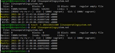 Touch Command In Linux Linux Expert Better 2025