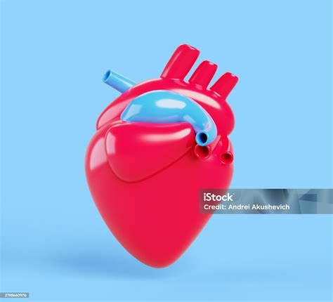 인간의 심장 3d 렌더링 아이콘입니다 해부학 내부 신체 기관 절연 통하고 있는 파란색 배경 의료 건강 및 심장학 개념 심장 박동 혈액 시스템 만화 해부학 빨간 근육 3차원