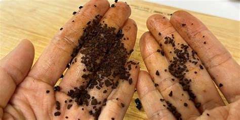 손에 커피가루를 바르면 비린내가 모두 사라진다는 사실을 알았습니다 텐꿀팁