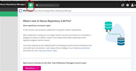 what s wrong with my script no admin access sonatype nexus repository sonatype community
