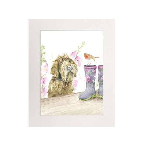 Rufus And The Robin Print Portrait Love Country By Sarah Reilly