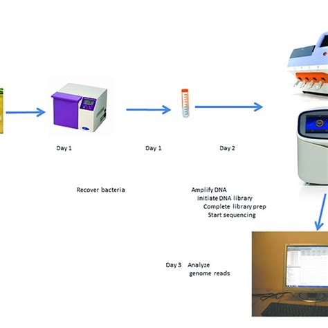 Principal Coordinates Analysis 3d Pcoa Distribution Of The Bacterial