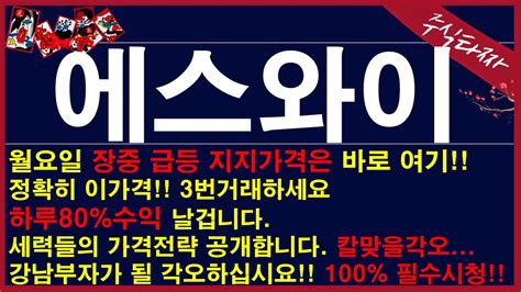에스와이 쩜상한가시나리오가들어보실랍니까에스와이분석 네옴시티 네옴시티관련주 에스와이주식 에스와이전망 모듈러주택