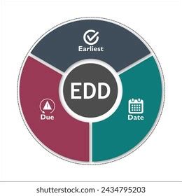 Edd Earliest Due Date Acronym Infographic Stock Vector Royalty Free Shutterstock