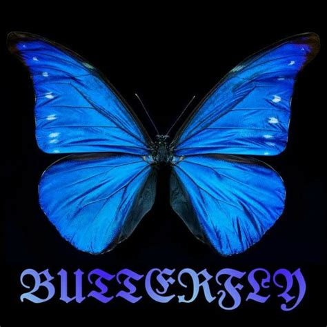 Stream Plastique Barbie By Plastique Listen Online For Free On