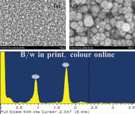 A Low Magnification Sem Image B High Magnification Sem Image And