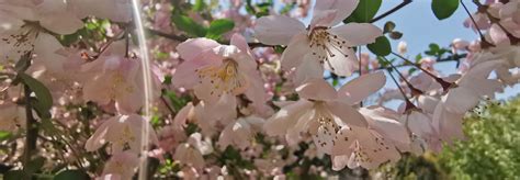 朱宇波博士解读“未来教师如何学做教育研究”