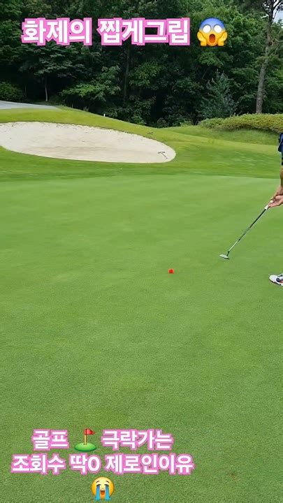 화제의 찝게그립극라가는 조회수 0제로😱 Golf 최종환퍼팅아카데미 골프 퍼터 숏게임 골프레슨 장타의조건 골프스윙 장유골프개인레슨 골프존 골프그립