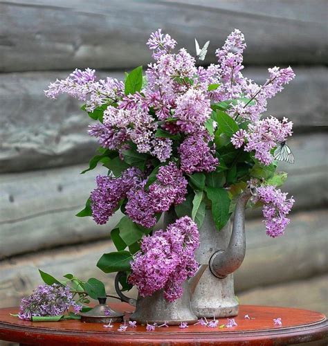 Новая жизнь старых вещей или найди бабочку Цветочные композиции Цветок Весенние цветы