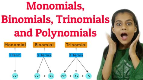 Monomials Binomials Trinomials And Polynomials In Algebra Algebraic Expressions Smart Learning