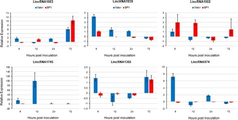 Rt Qpcr Validation Of Time Course Rna Seq Data Using Six Selected