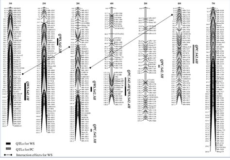 Qtl Map For Pc And Ws In Barley Qtl For Pc And Ws Are Marked With Grey Download Scientific