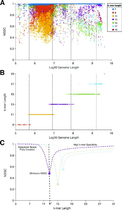 Normalized Sequence Space Coverage Nssc Of Genomes Attains A Minimum
