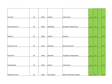 Performance Profiling And Data Scoring With Excel Ppt