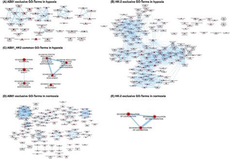 Go Enrichment Analysis Network Visualization For The Common And