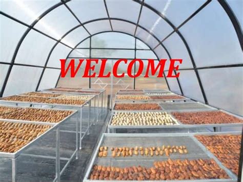 Moisture Content Determination And Equilibrium Moisture Content Ppt