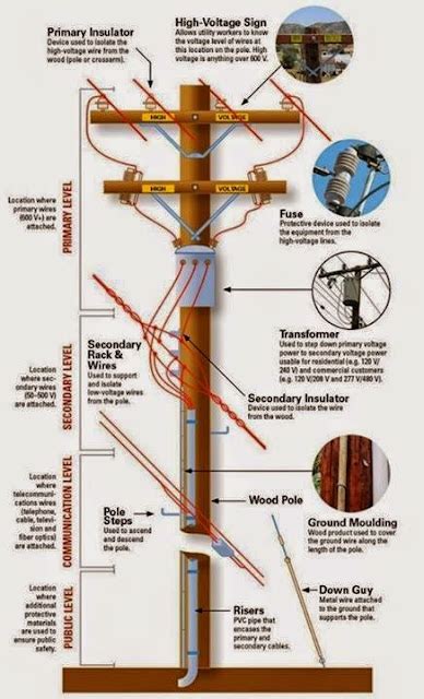 The Pole Structure EEE COMMUNITY