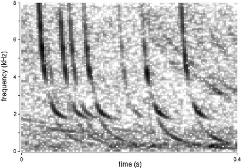 Series Of The Lowest Transversal Electromagnetic Mode Tem And The