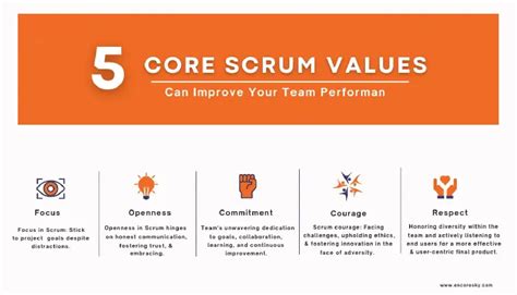 5 Core Scrum Values Can Improve Your Team Performance
