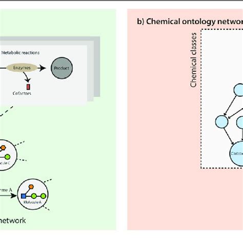 Representation Of Knowledge As Networks A Genome Scale Metabolic