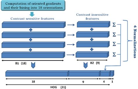 modified hog histogram of oriented gradients [6] the histograms are