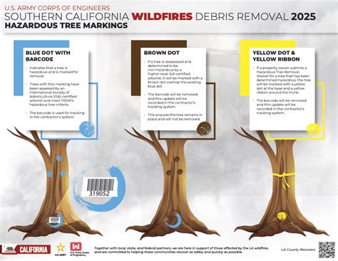 Us Army Corps Of Engineers Expands Hazardous Tree Marking System