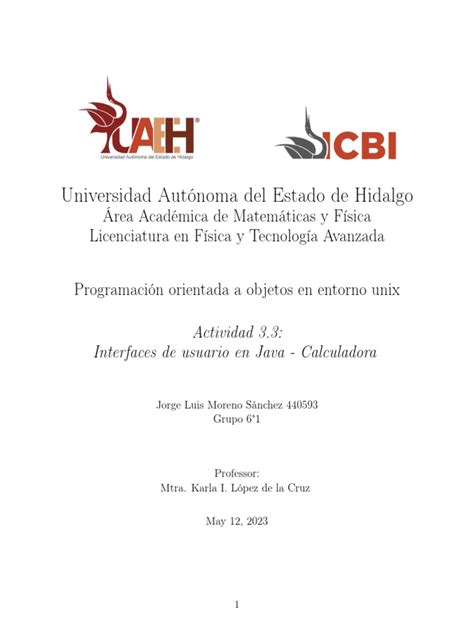 swing project 1 pdf java lenguaje de programación gestión de