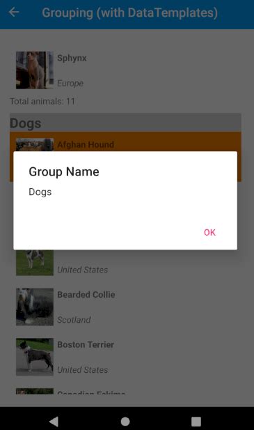 Grouped Collectionview Get The Selected Group Name Microsoft Qanda