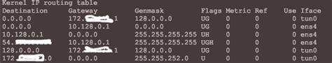 Linux OpenVPN Full Routing Client Issue Server Fault