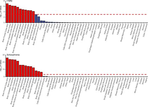 Shared Genetic Architecture And Causal Relationship Between Frailty And