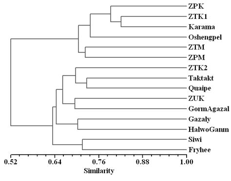 dendrogram obtained from upgma cluster based on morphological and