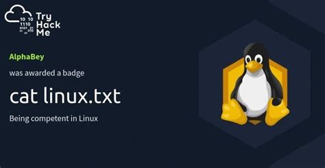 Tryhackme Linuxfundamentals Cybersecurity Redteam Ctf Selftaught