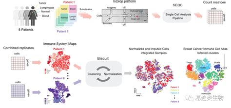 单细胞研究肿瘤专题————细胞图谱绘制研究肿瘤异质性 分析 患者 差异
