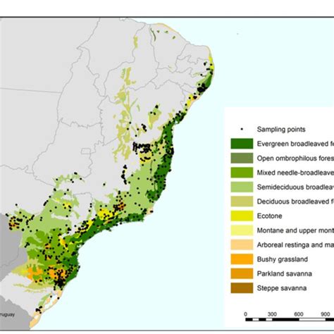 Figure Spatial Distribution Of The Ee Ecoregions Of The Atlantic Forest Download Scientific