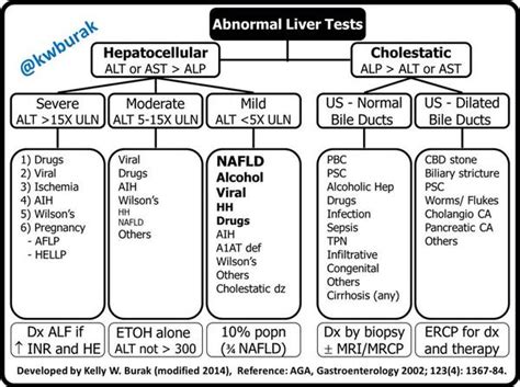 PAINE PANCE Pearl Gastrointestinal PAINE Podcast And Medical Blog