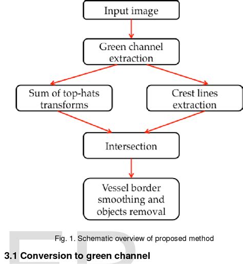 Figure 1 From Retinal Vessel Segmentation Using Crest Lines And Morphological Operations