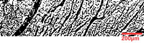 Binary Thresholding Of Fig 3c With A Manually Chosen Threshold
