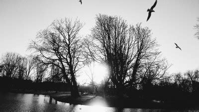 Puellainurbe Tumblr Com Tumbex