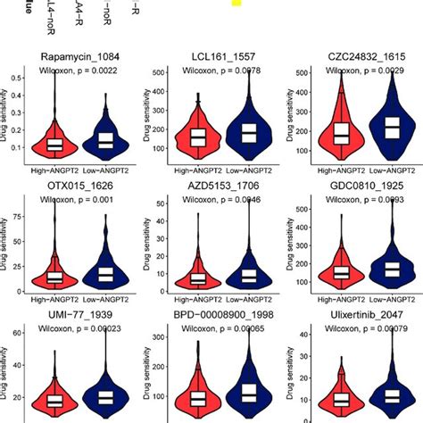 Expression Of Nets In Gastric Cancer Gc And Paracancerous Tissues And Download Scientific