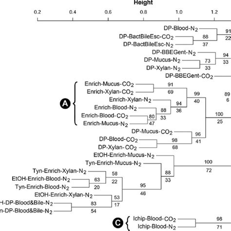Dendrograms Of Euclidean Distances Generated Through The Upgma Function Download Scientific
